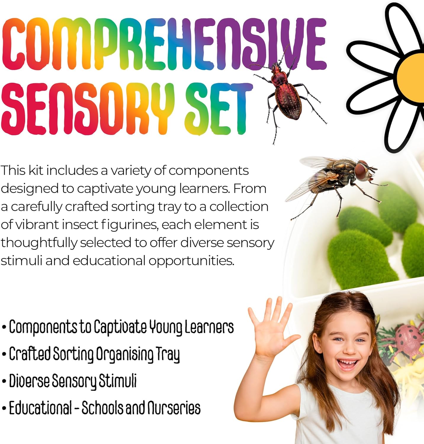 Sensory Kit - Insect┃Enriching Sensory Play For Children